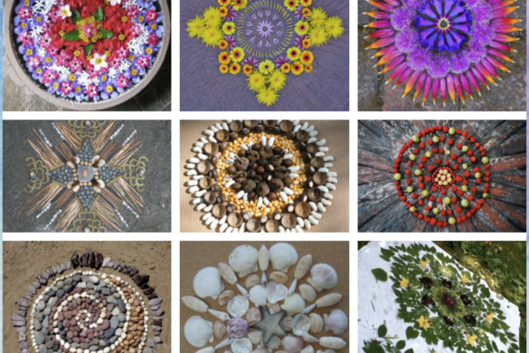 Bare Books – Creative Play Therapist